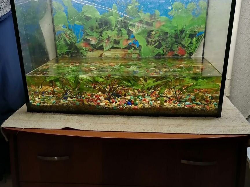 Аквариум 110 литров