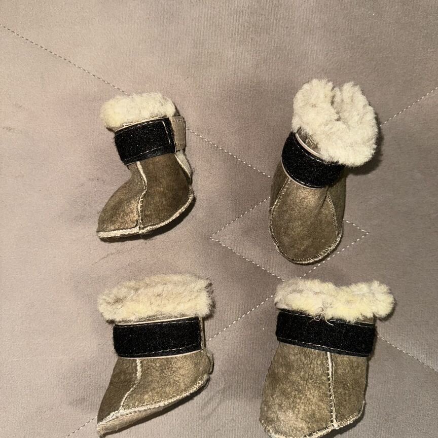 Обувь для собак мелких пород