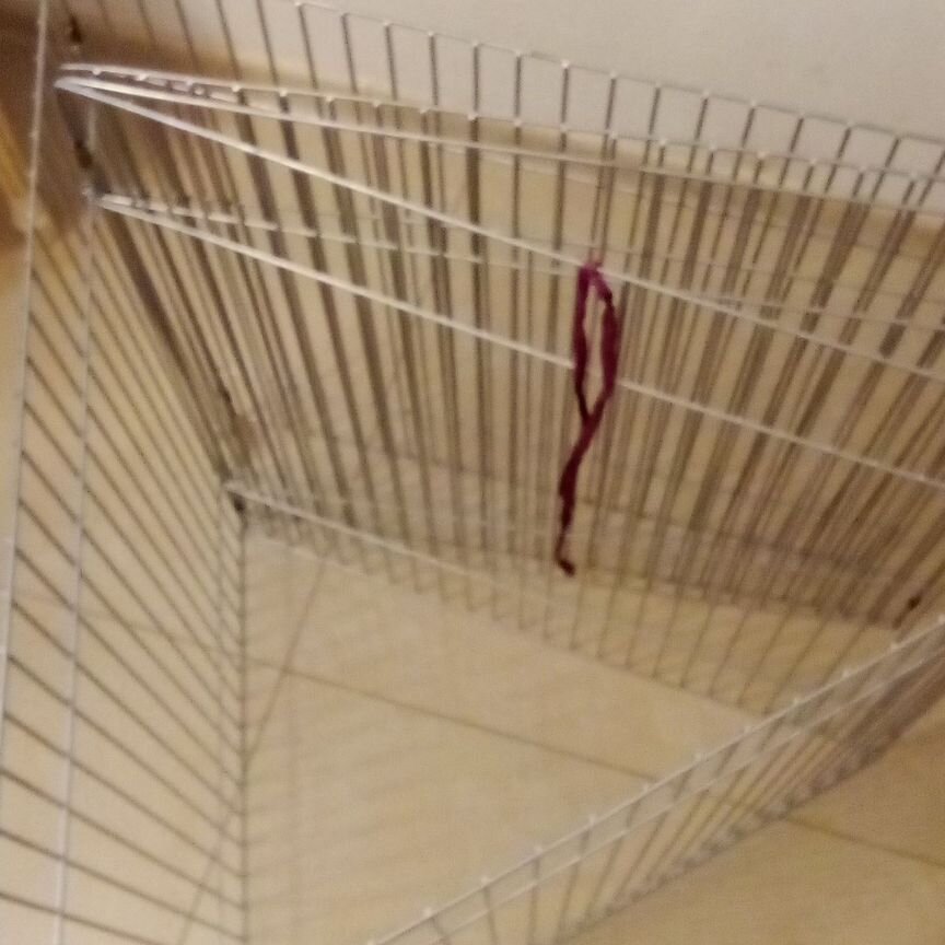 Загон для щенков и собак мелких пород