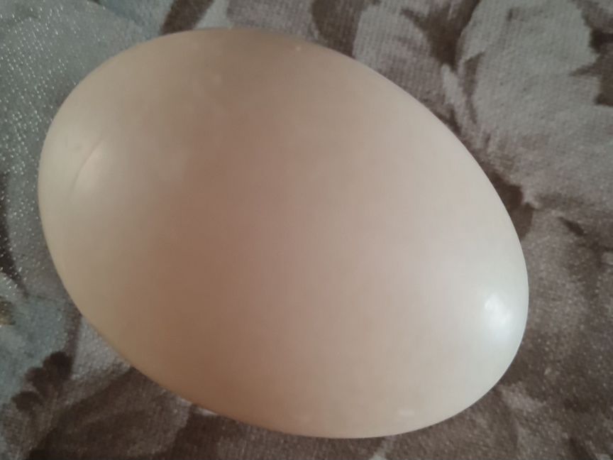 Яйцо домашнее индоутки пищевое