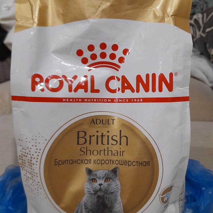 Сухой корм для кошек royal canin