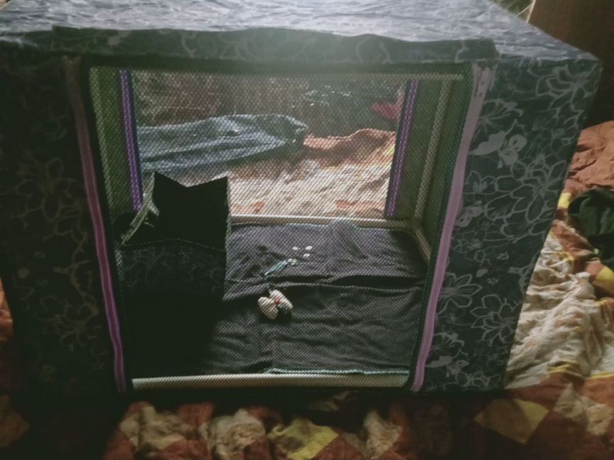 Выставочная палатка для кошек