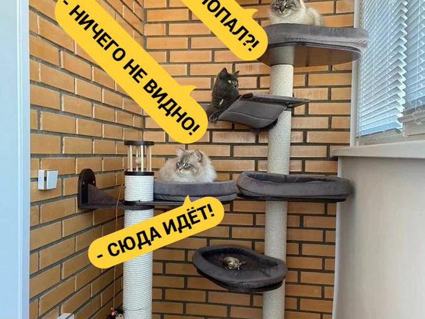 Когтеточка домик для кошки