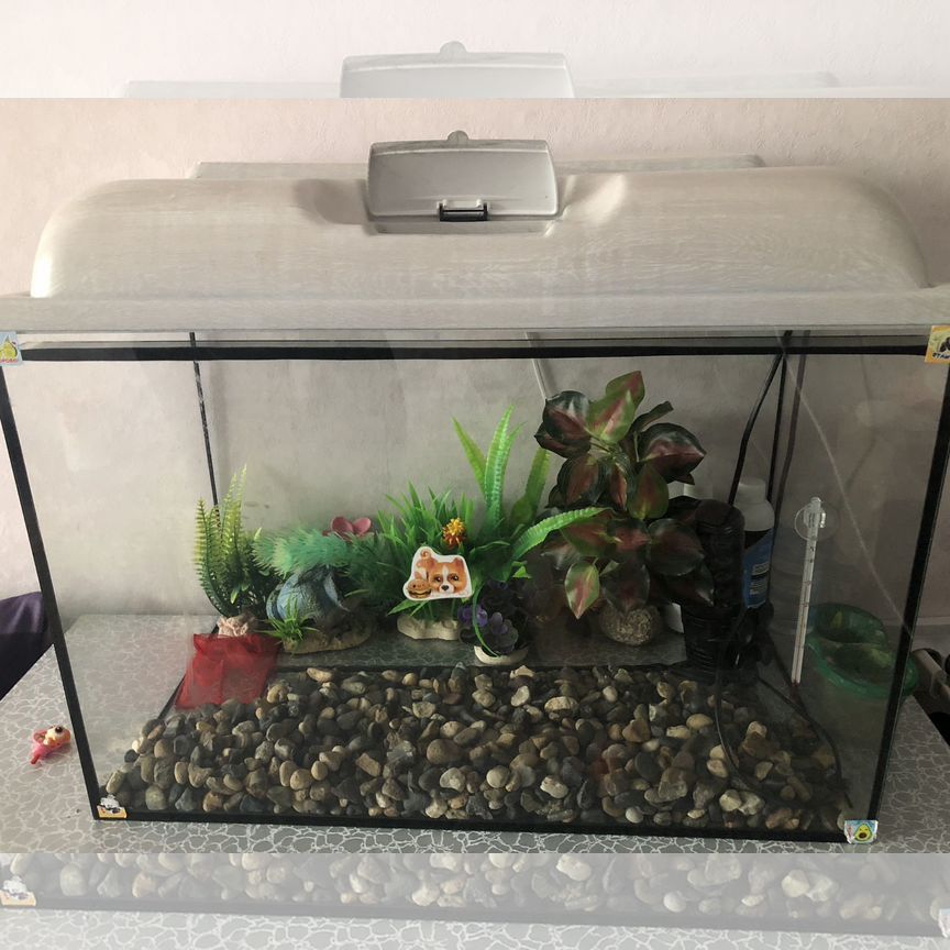 Аквариум, Украшение для аквариума