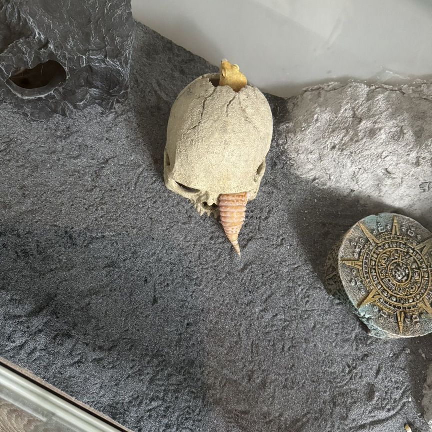 Укрытия, влажные камеры и тд для рептилий