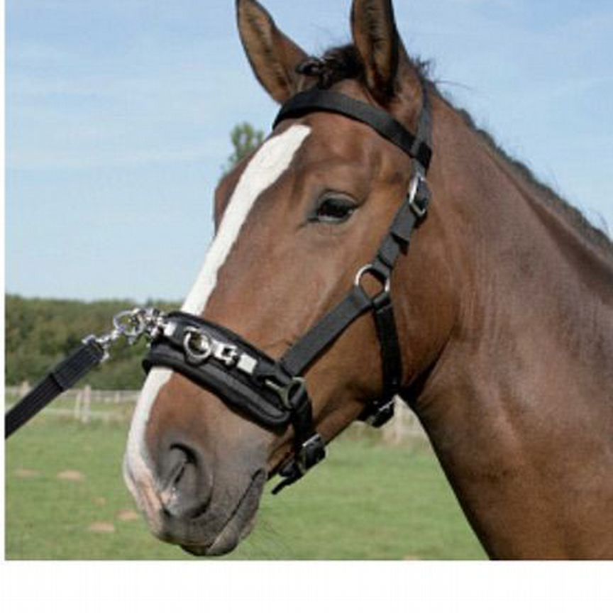 Капцунг/кавессон для лошади