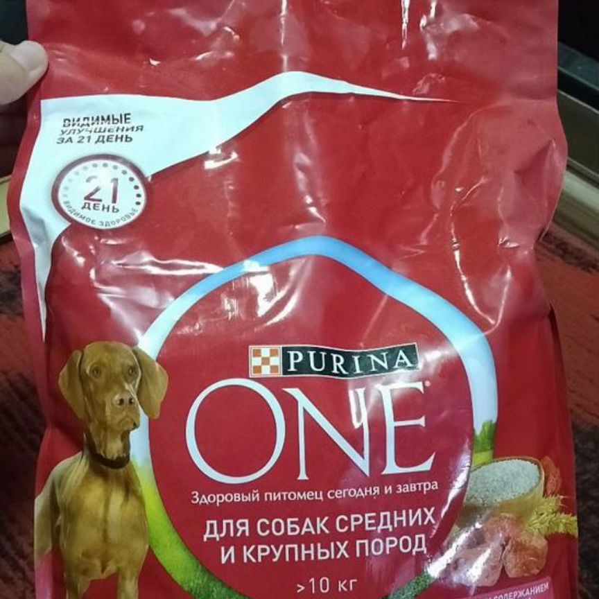 Корм для собак purina one