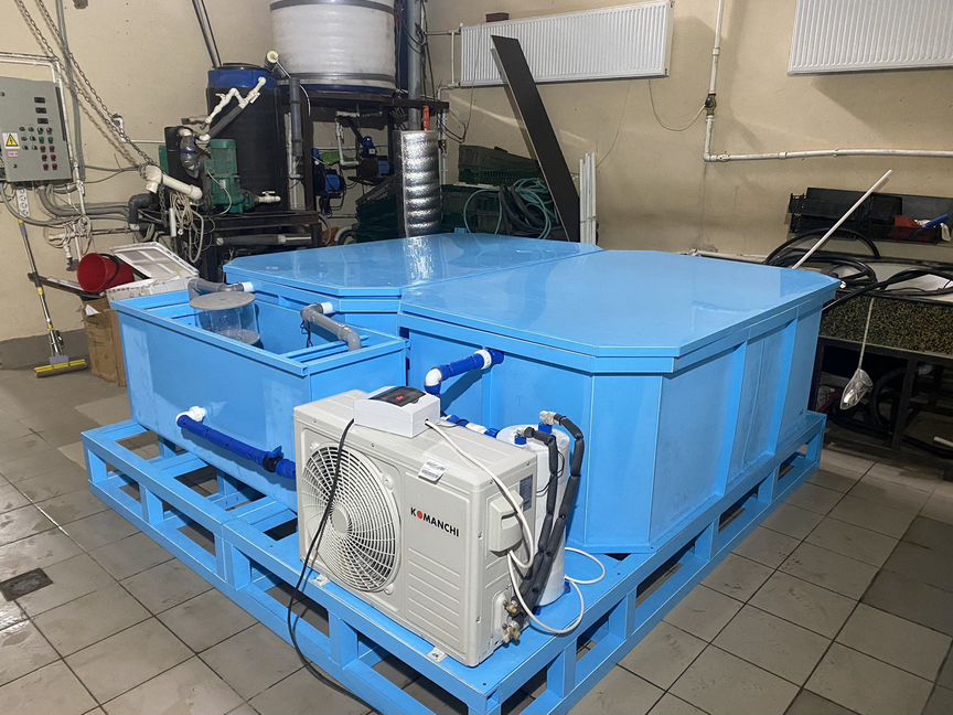 Узв передержка раки рыба устрицы крабы