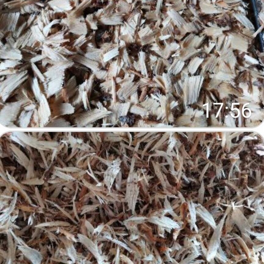 Опилки стружка бесплатно