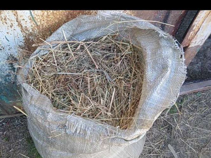 Для животных