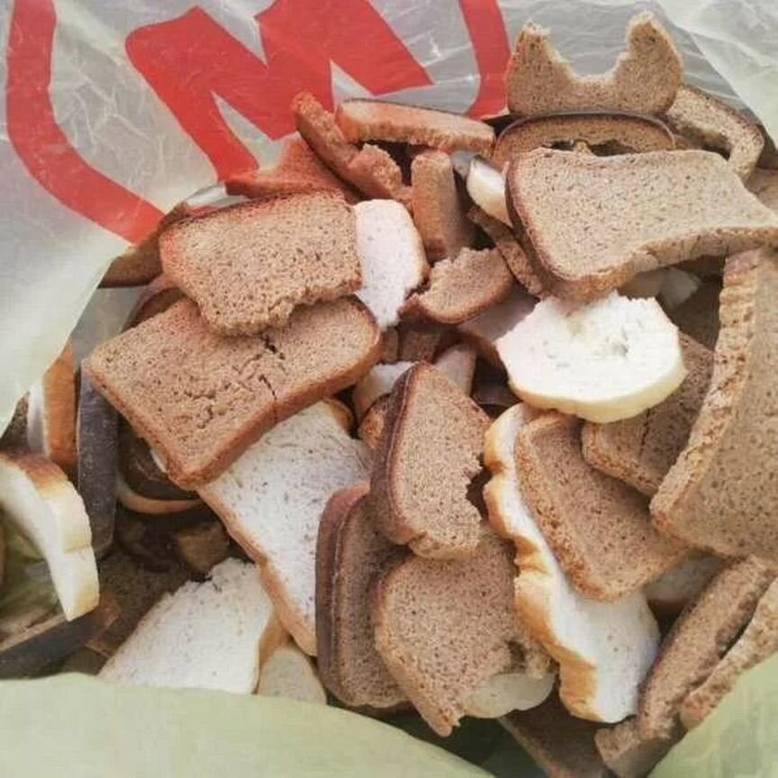 Сухари для животных