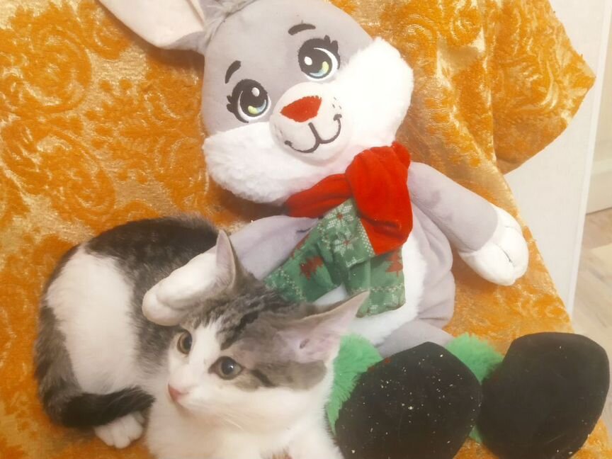 Стёпа 4 мес