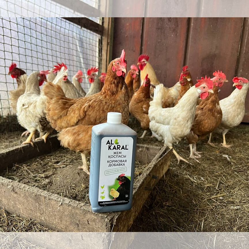 Витаминная добавка для кур