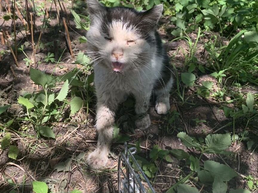 Подарите надежду