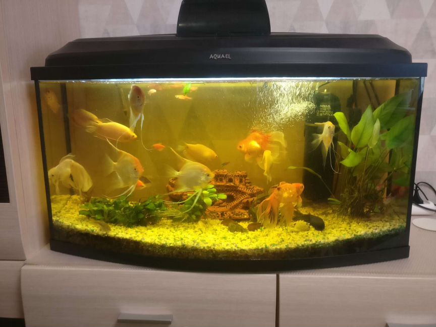 Аквариум aquael 100