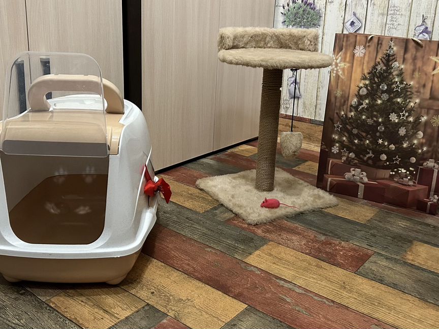 Лоток-домик и лежанка с когтеточкой для кошки