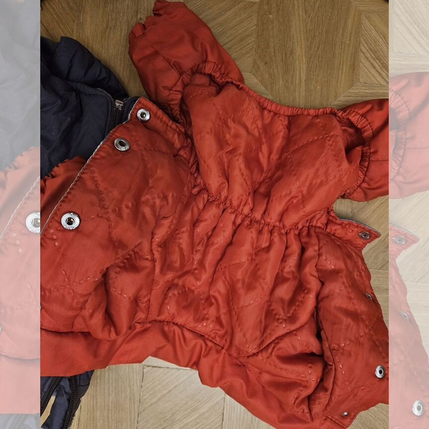 Одежда для маленьких собак