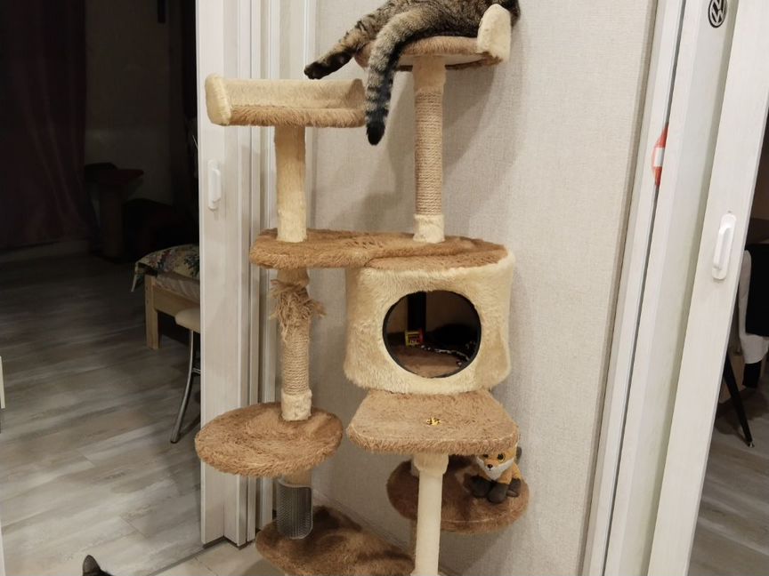 Когтеточка с домиком бу