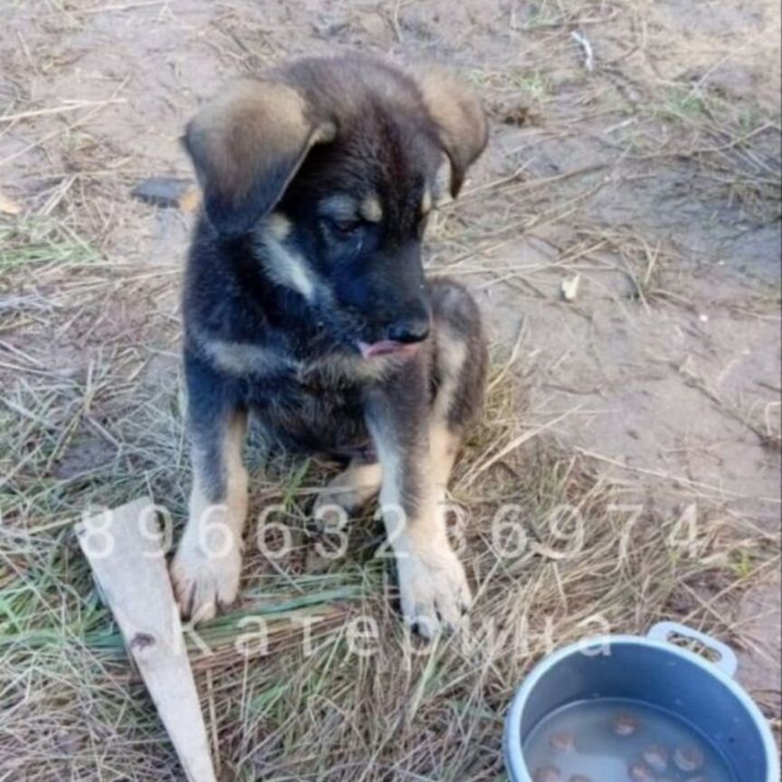 Малышек выбросили