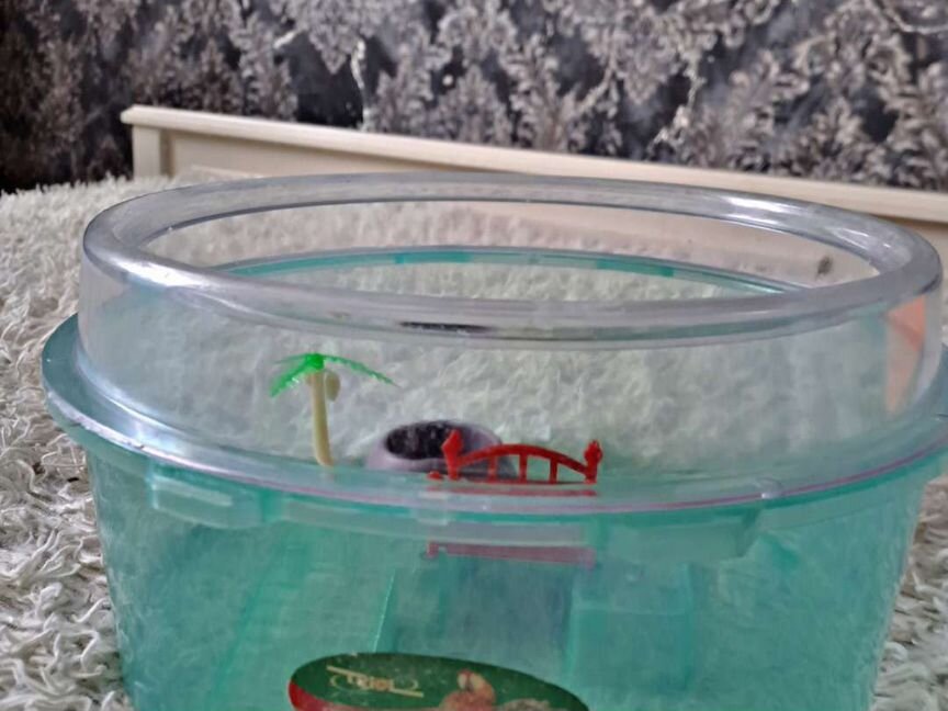 Террариум для черепах, улиток