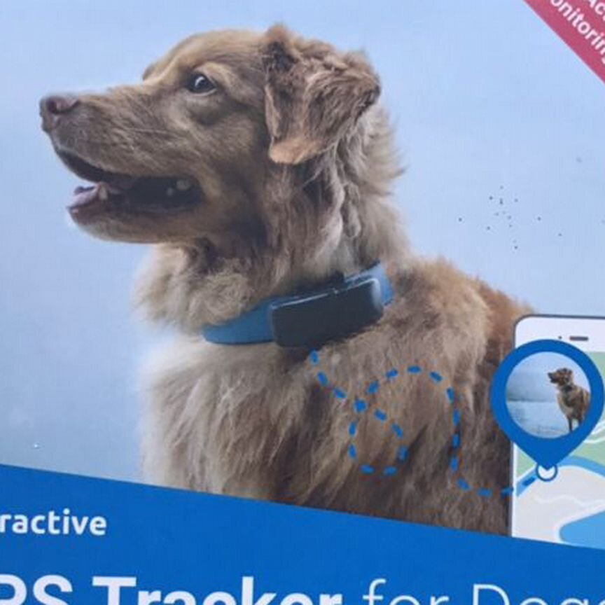 SMART гаджет Tractive GPS трекер для собак