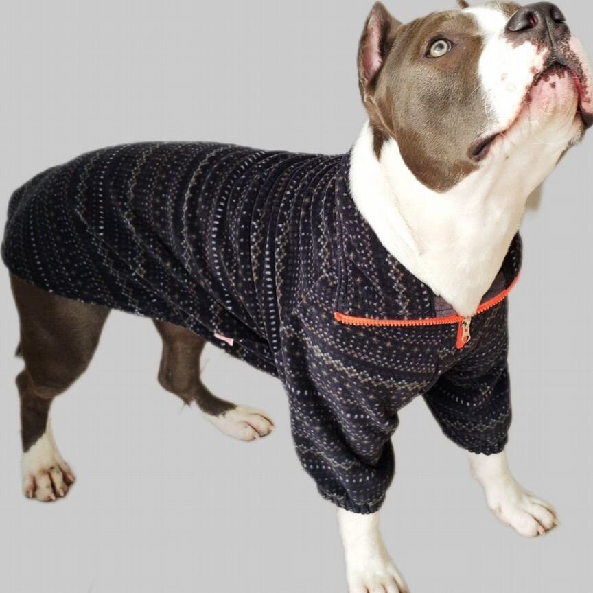 Одежда для собак крупных пород