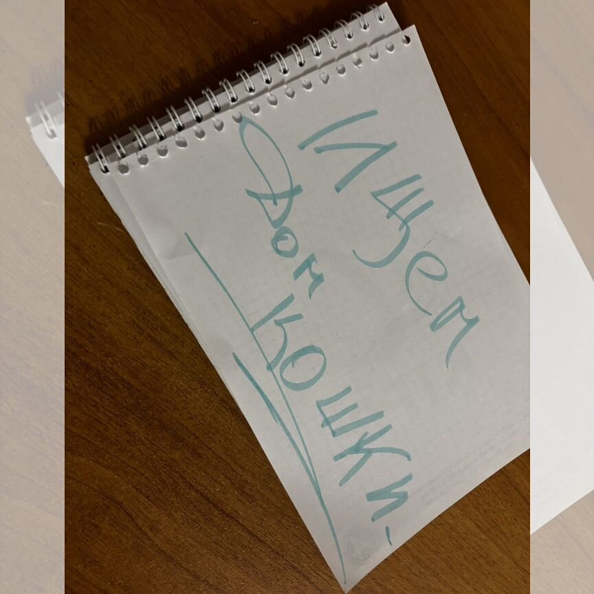 Взрослая, кошка в добрые руки