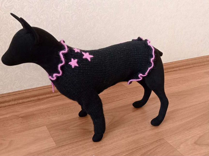 Одежда для собак