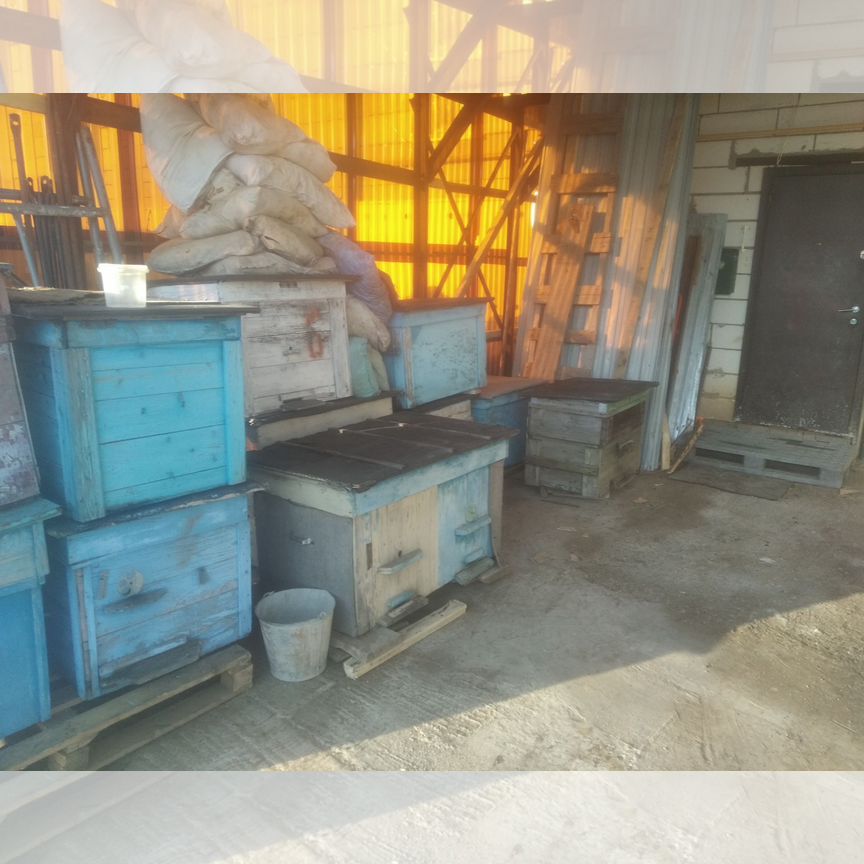 Улей для пчел бу 11 штук