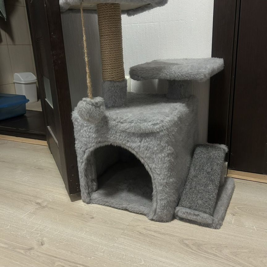 Когтеточка