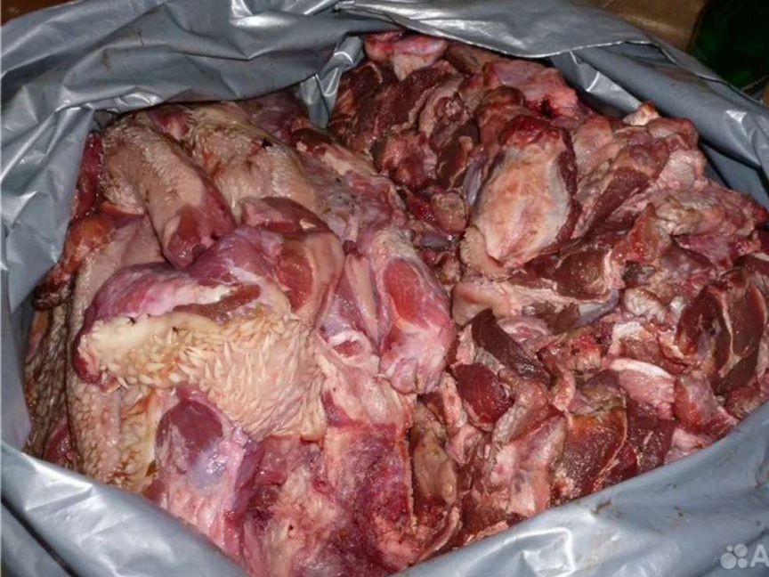 Мясо говядина для собак