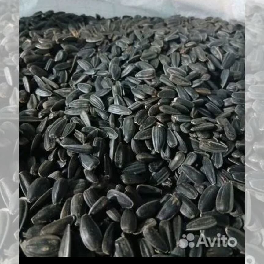 Семечки подсолнуха