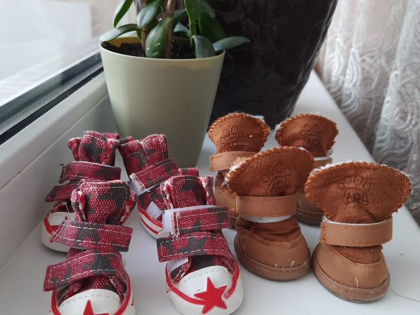 Ботинки для маленьких собак