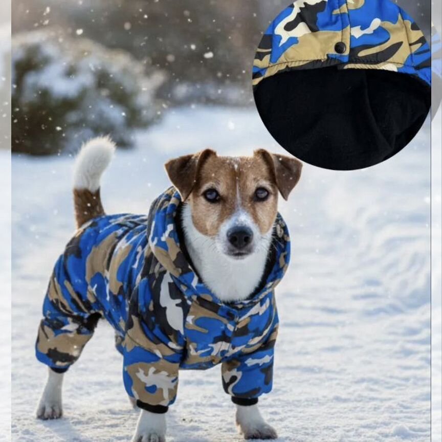 Одежда для собак мелких пород