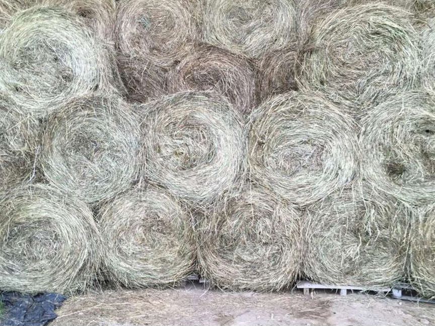 Сено с доставкой