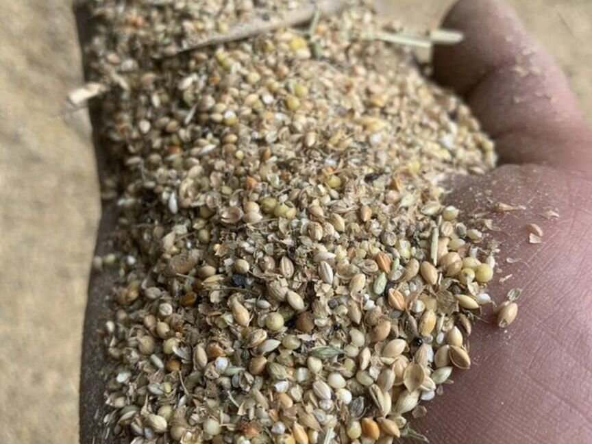 Отходы от проса