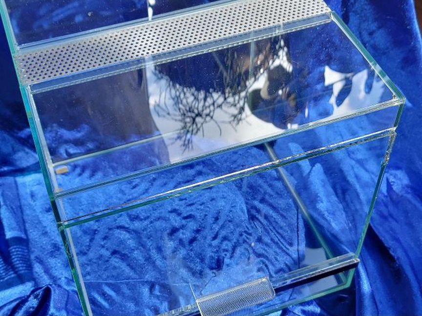 Террариум флорариум 30 х 30 х 30