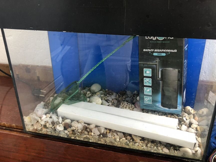 Аквариум с декором