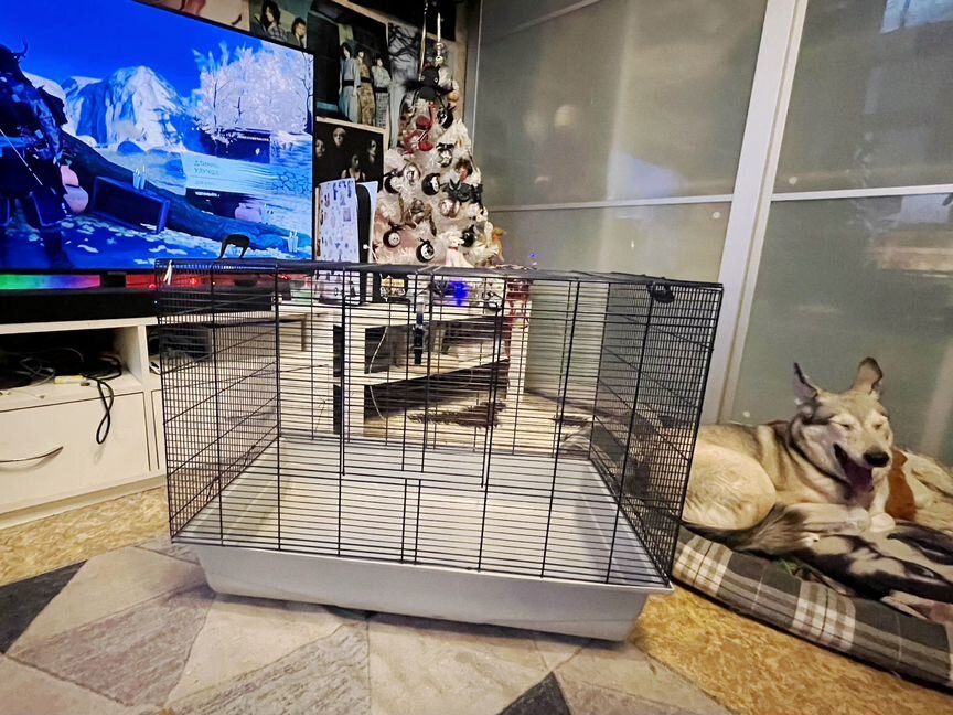 Клетка для крыс и крупных грызунов