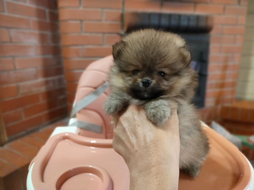 Мальчишечка миниатюра