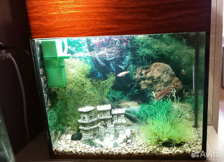 Аквариум 10 литров