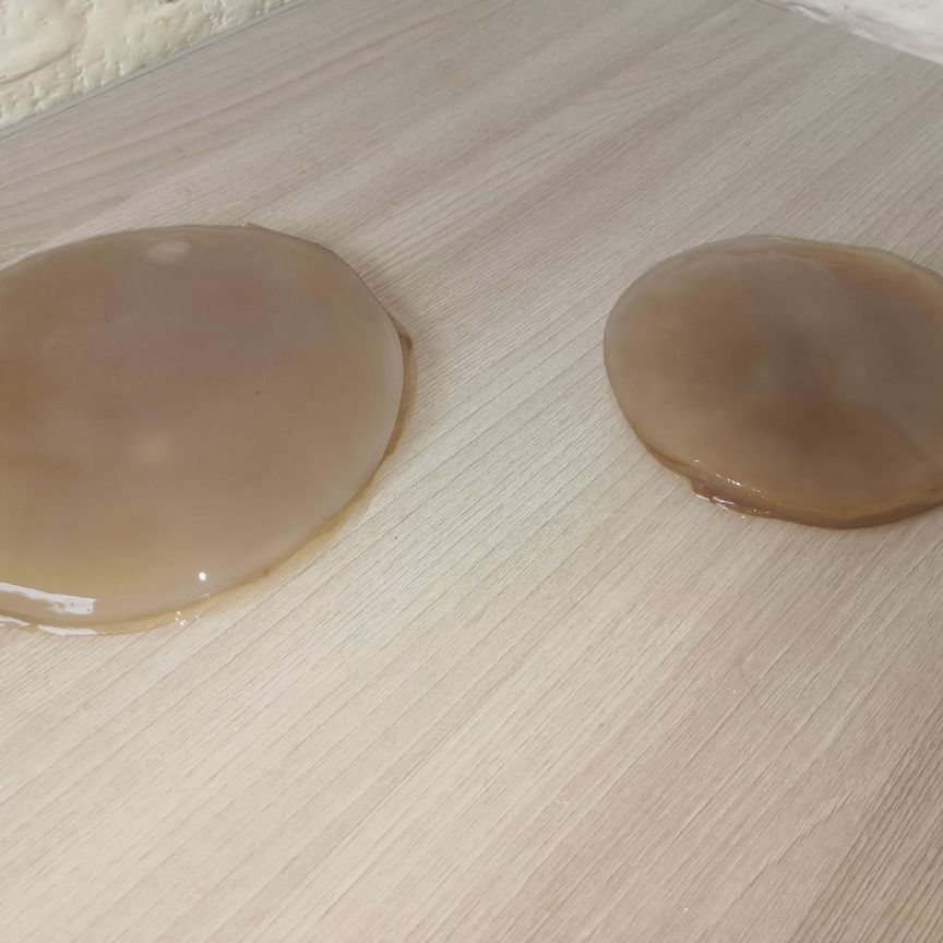 Чайный гриб