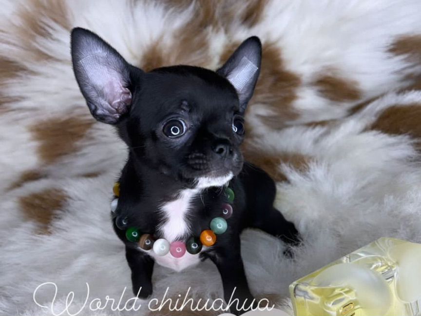 Супер Микро Девочка