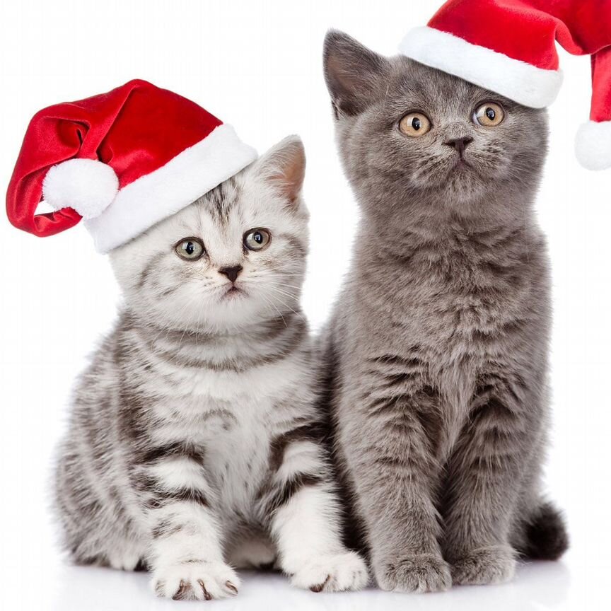 Шотландская новогодняя плюшевая куколка