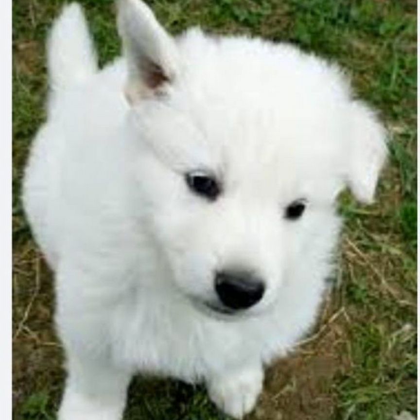 Малыш мальчик 3 месяца