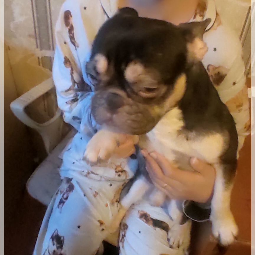 Мальчик 3 года