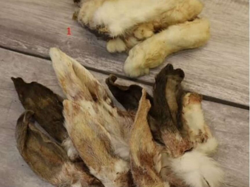 Уши и лапы кролика