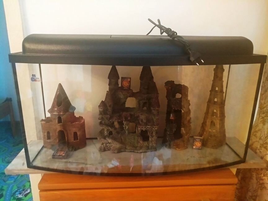 Аквариум и декорации