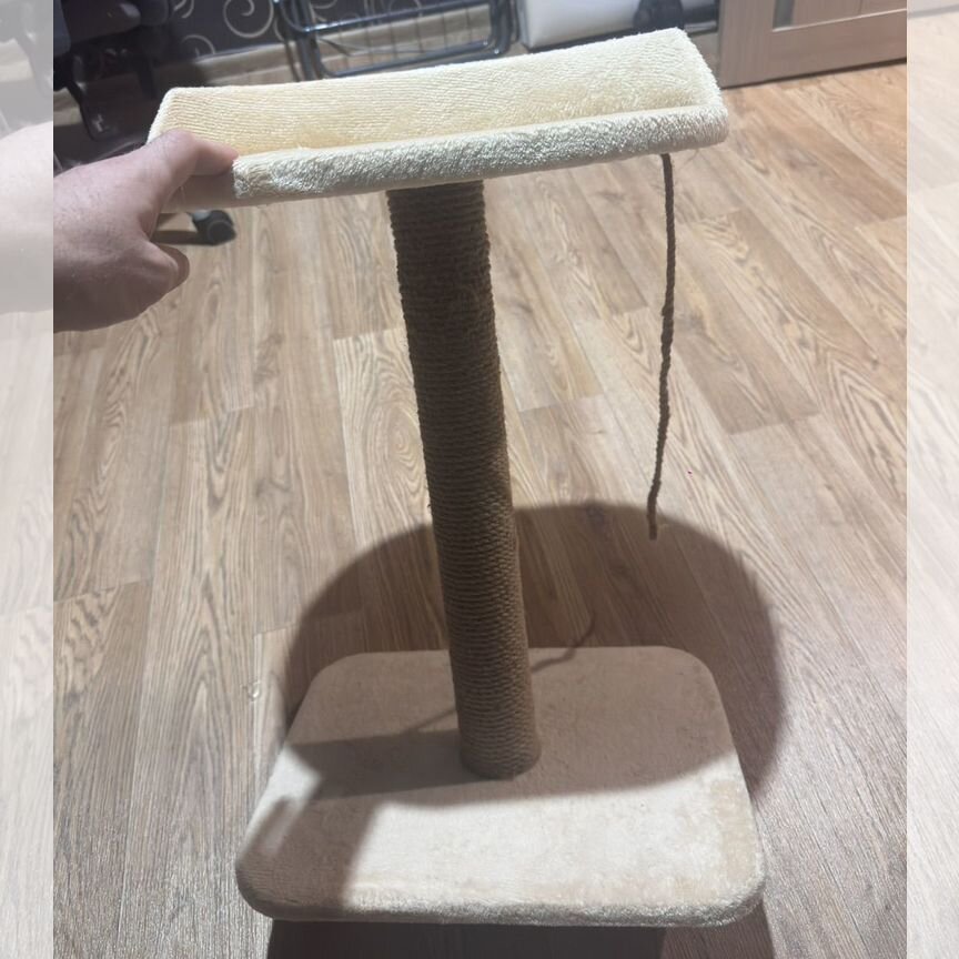 Когтеточка