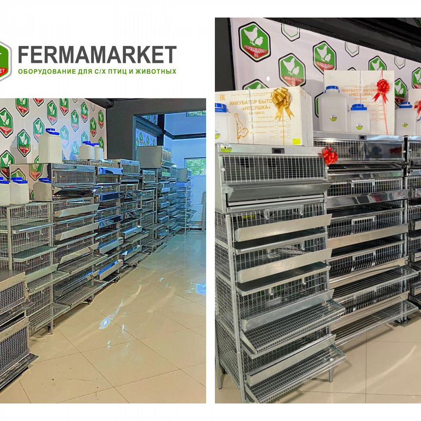 Клетки для перепелов Алушта